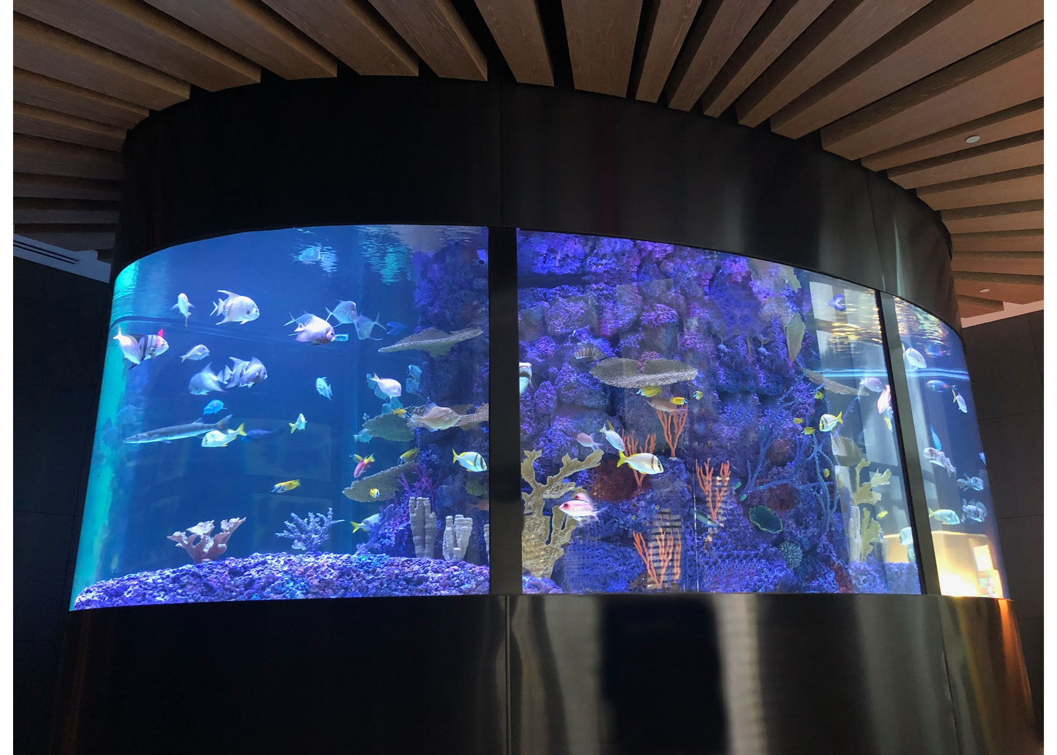 Echo Brickell Downtown Miami - SeaVisions of South Florida