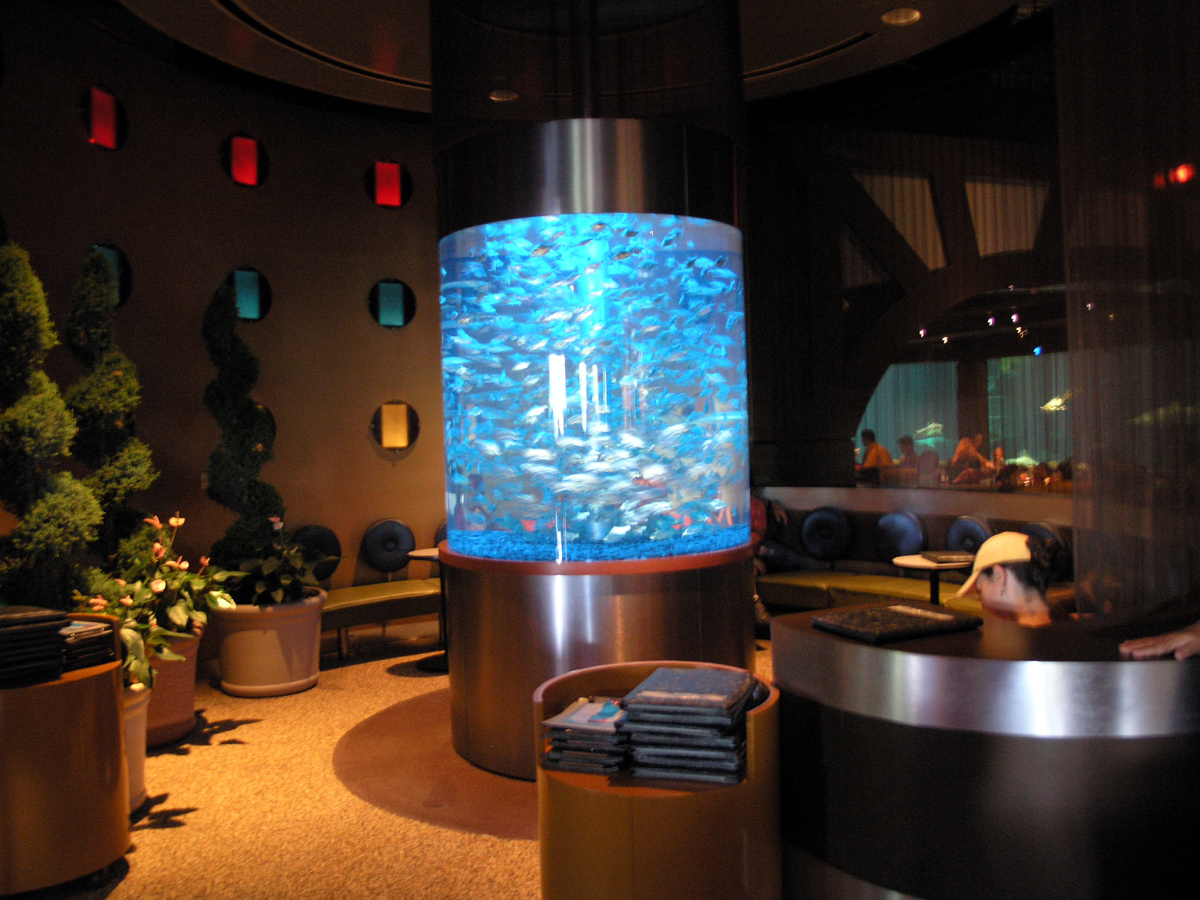 SeaWorld - SeaVisions of South Florida