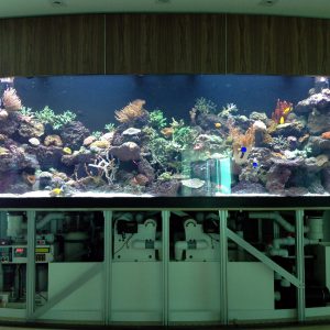 1200 Gallon Reef Aquarium Custom Front Panel - SeaVisions of South Florida